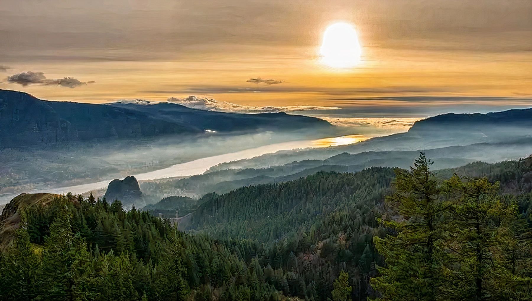 Exploring IT Solutions