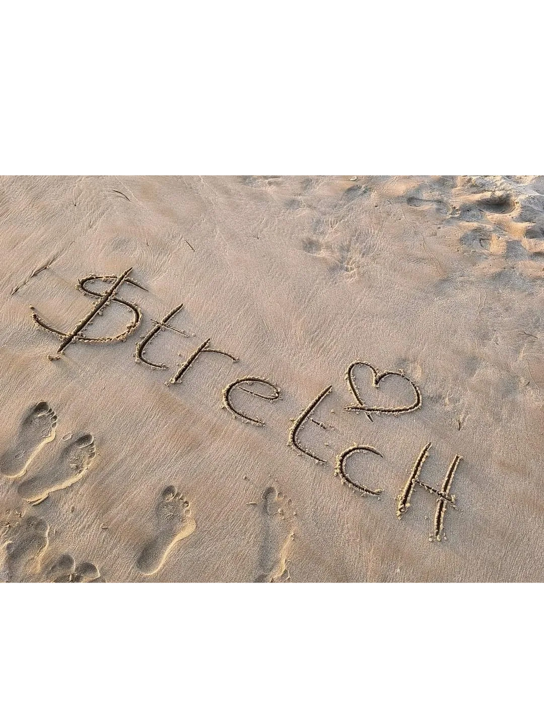 Sharon A Cowell - Author