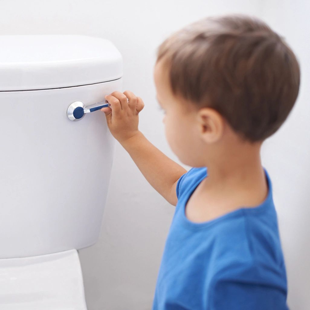 Potty Training 101