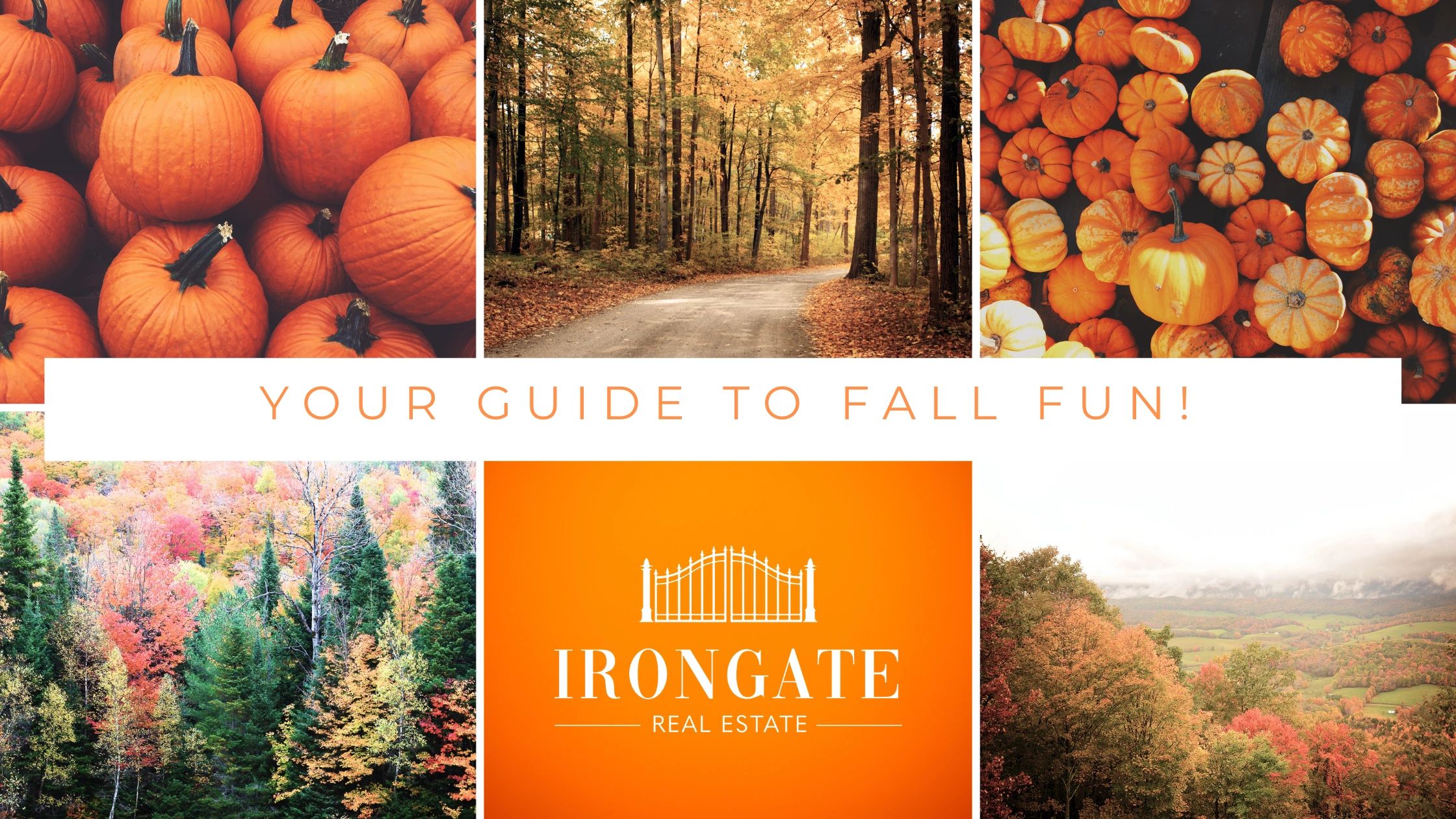 Your Guide to Fall Fun in the River Region!