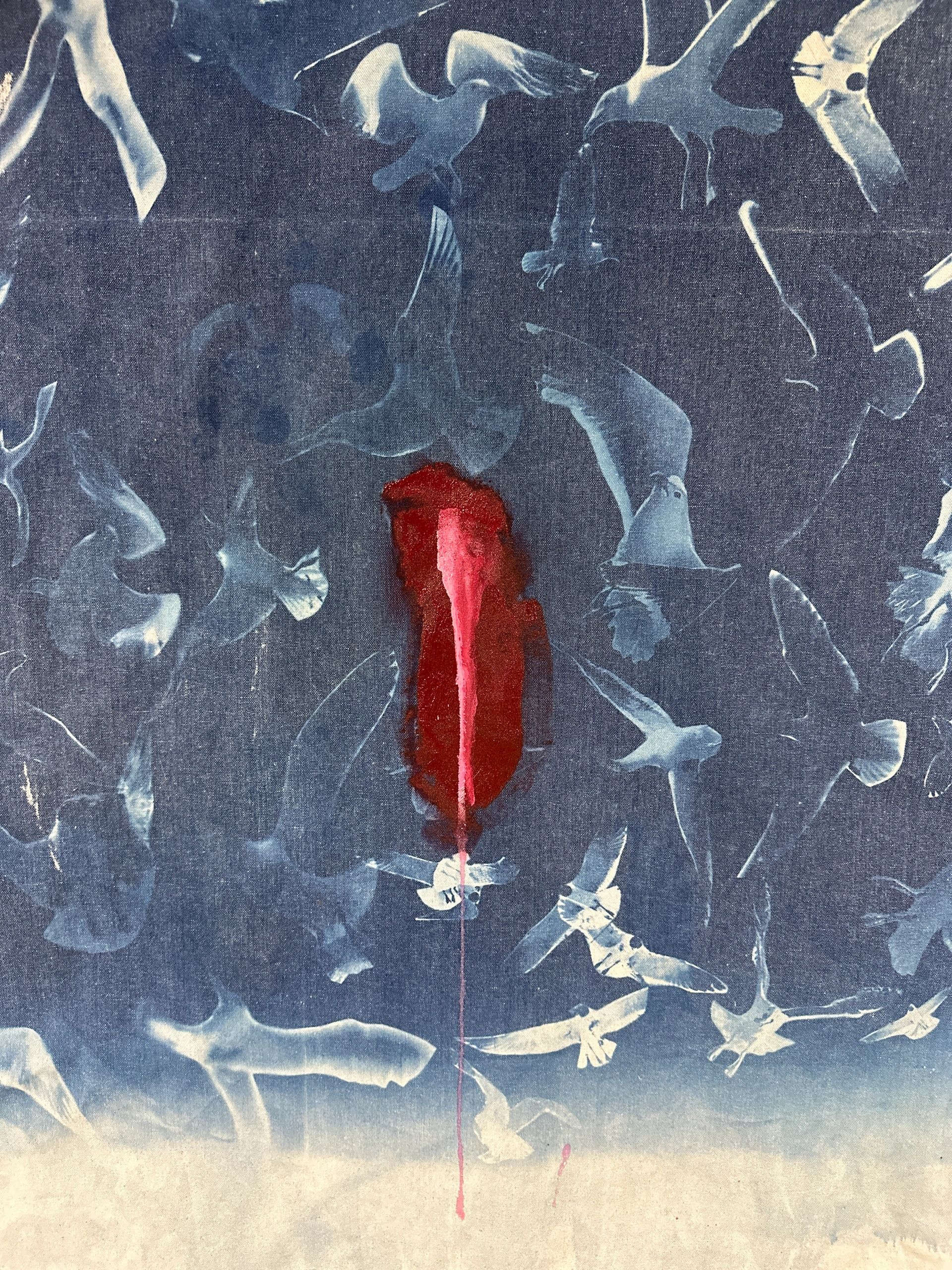 About | Shannon Murray Artist