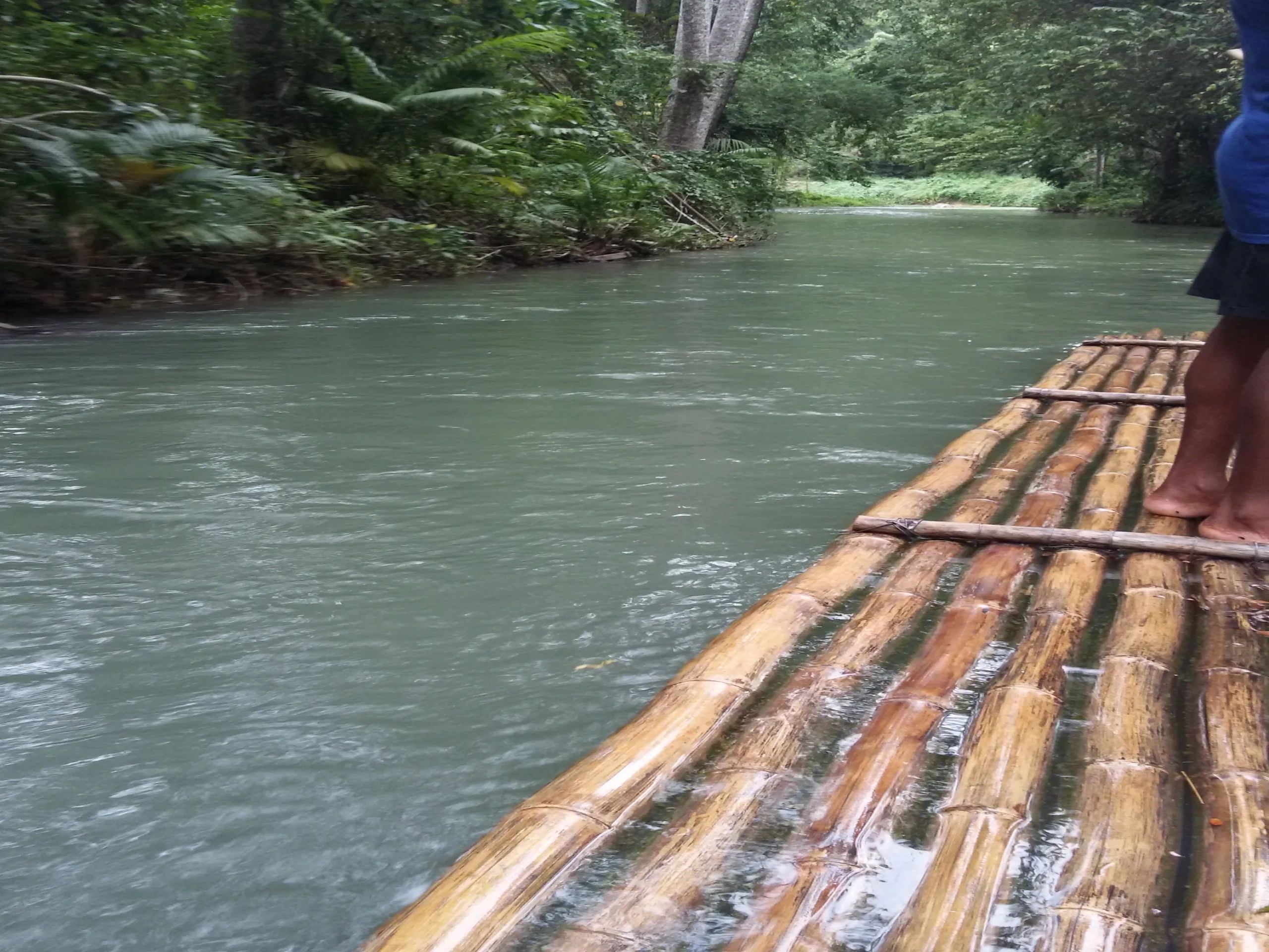 Simply Divine Jamaica