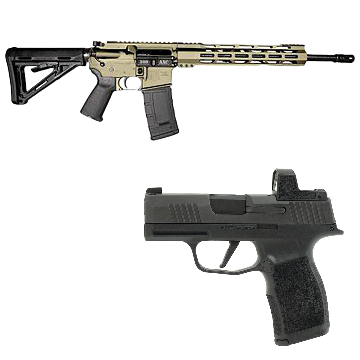 Gun Raffle | Belknap County Republican Committee