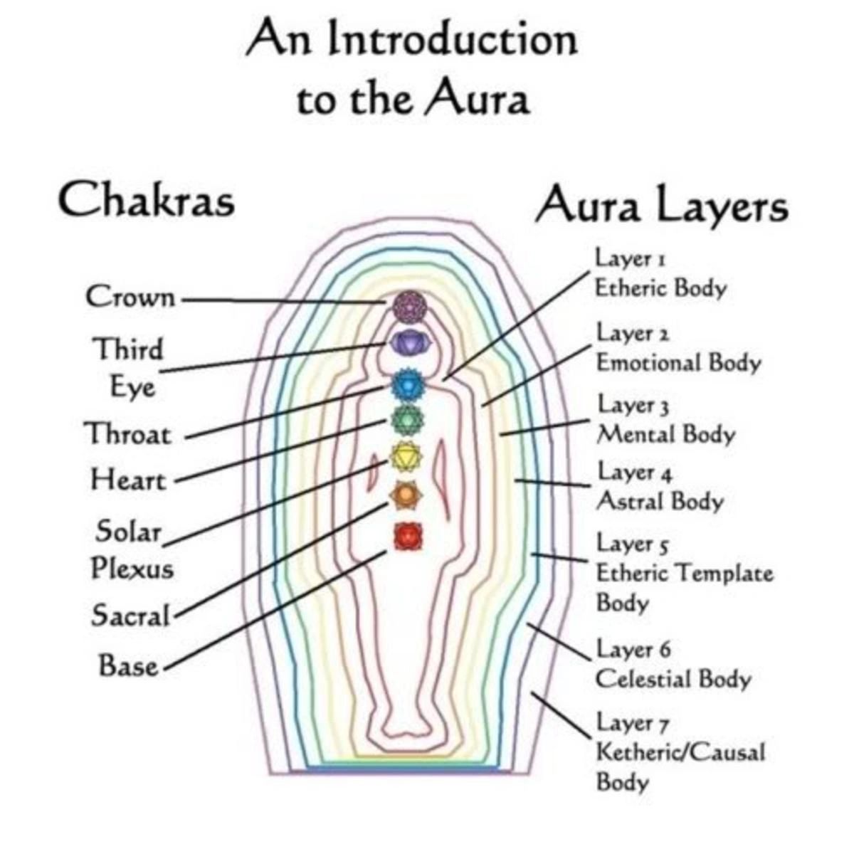 The Seven Bodies of Man