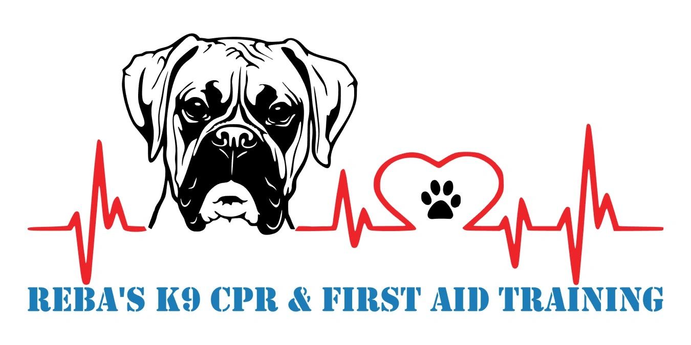 Canine CPR and First Aid - Reba’s K9 CPR & First Aid Training