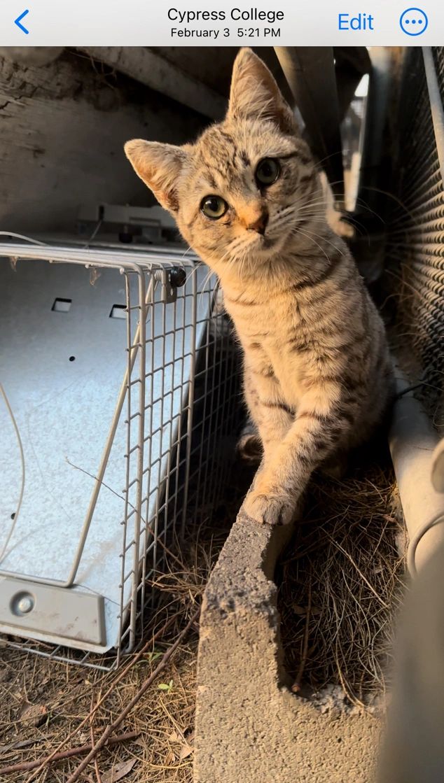 Trap and Kill Operation?