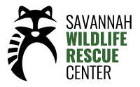 Wildlife Rescuers Visit Skidaway