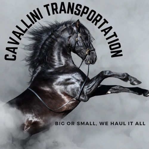 Cavallini Transportation