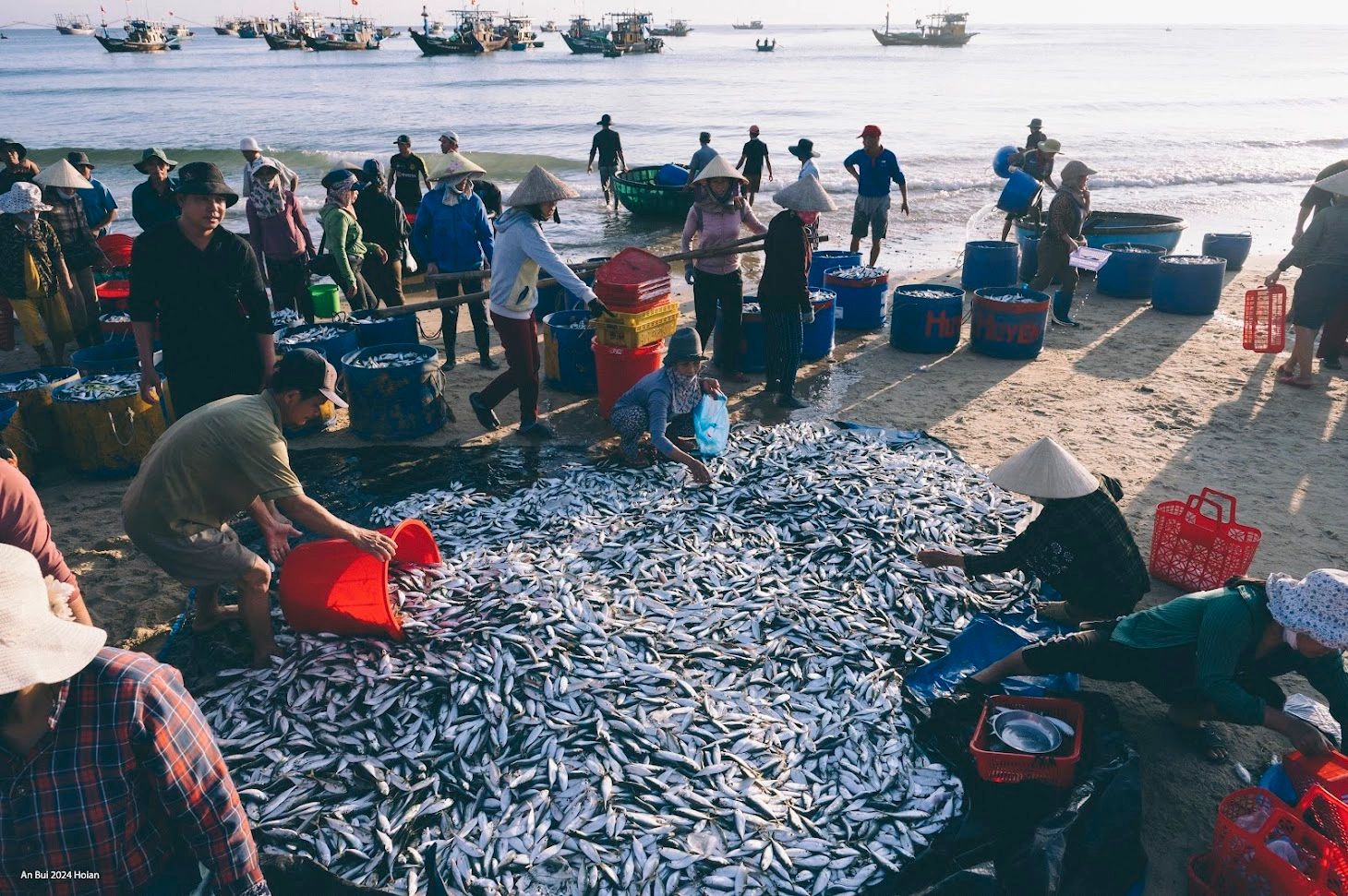 A Complete Guide to Tam Tien Fish Market: Explore the Hidden Gem