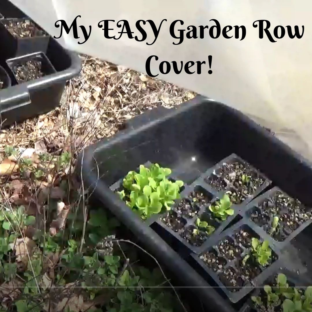 My EASY Garden Row Cover- Starting Seedlings Without a Greenhouse