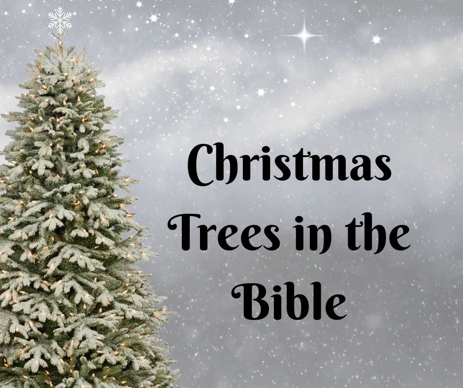 Christmas Trees in the Bible