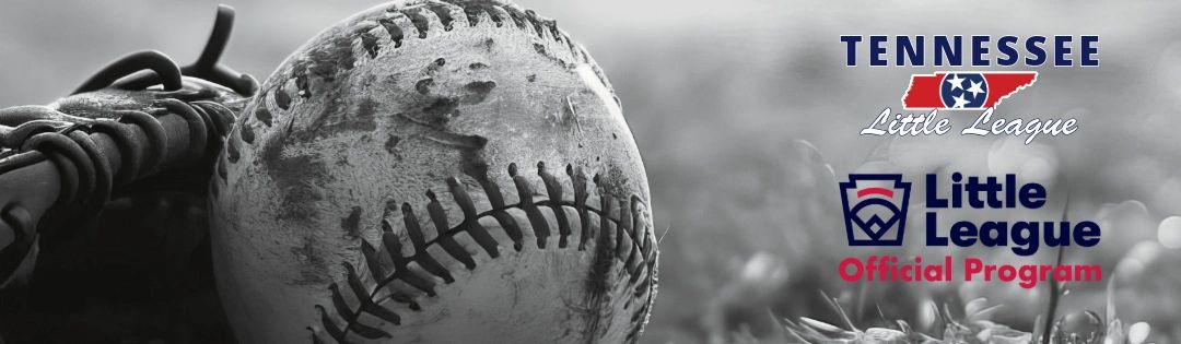 Coach Information | Tennessee State Little League