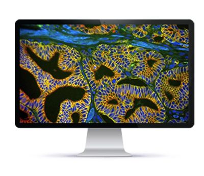 Research | PGP Life Scientific Ltd