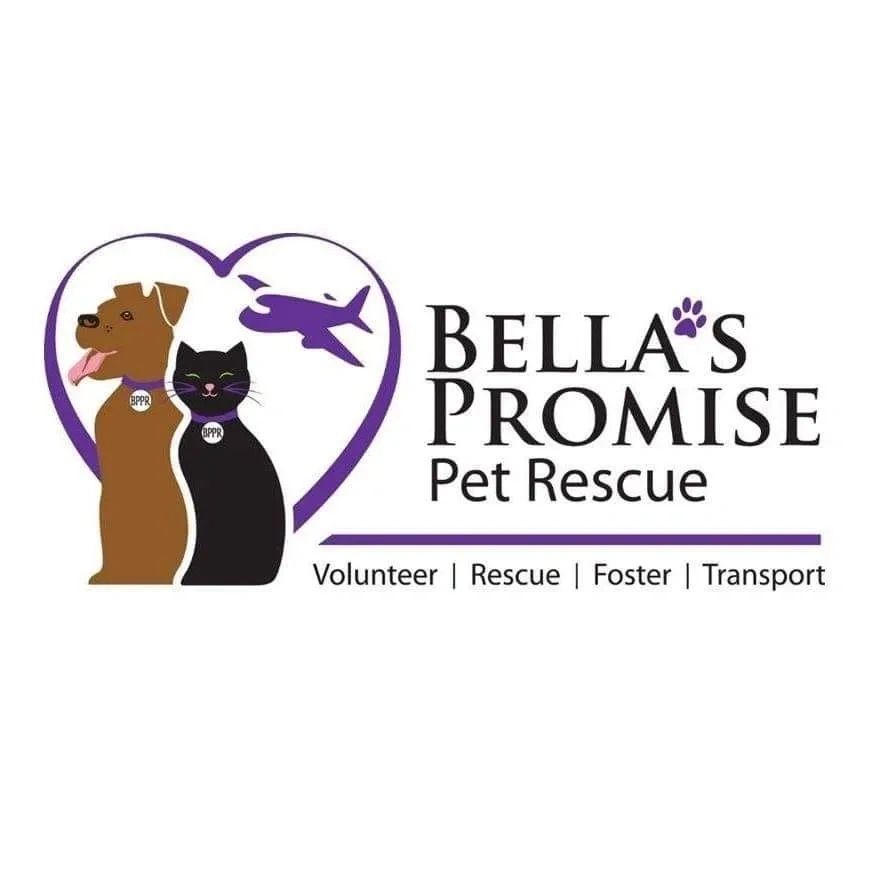 Bella's Promise Pet Rescue