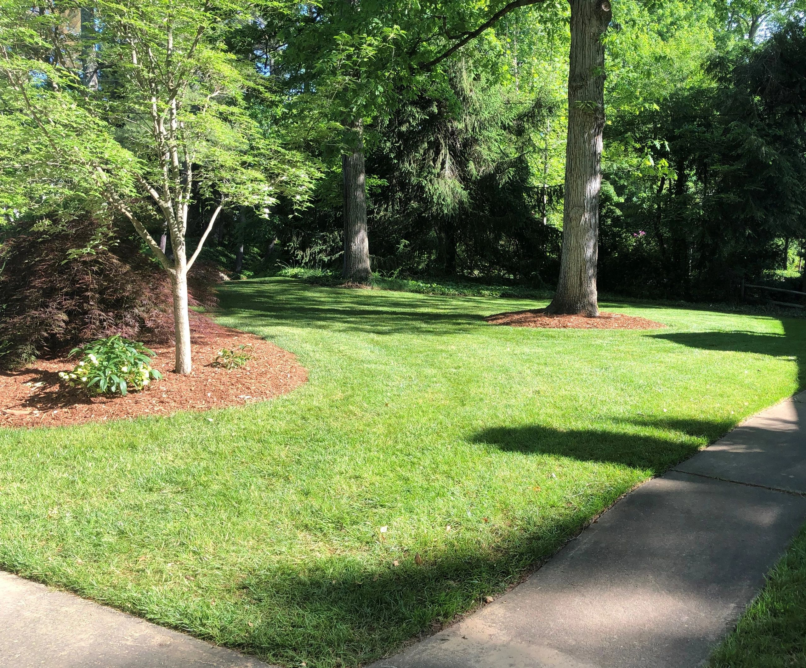 Landscape and Turf Solutions - Home