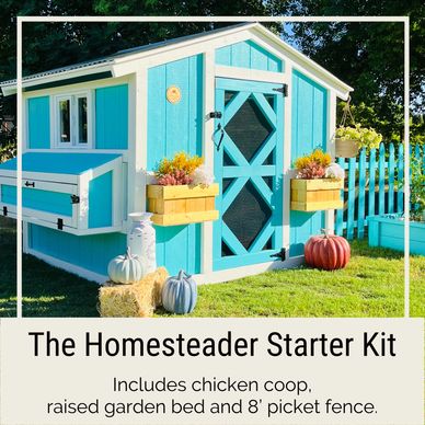 Chick Inn Coops - online