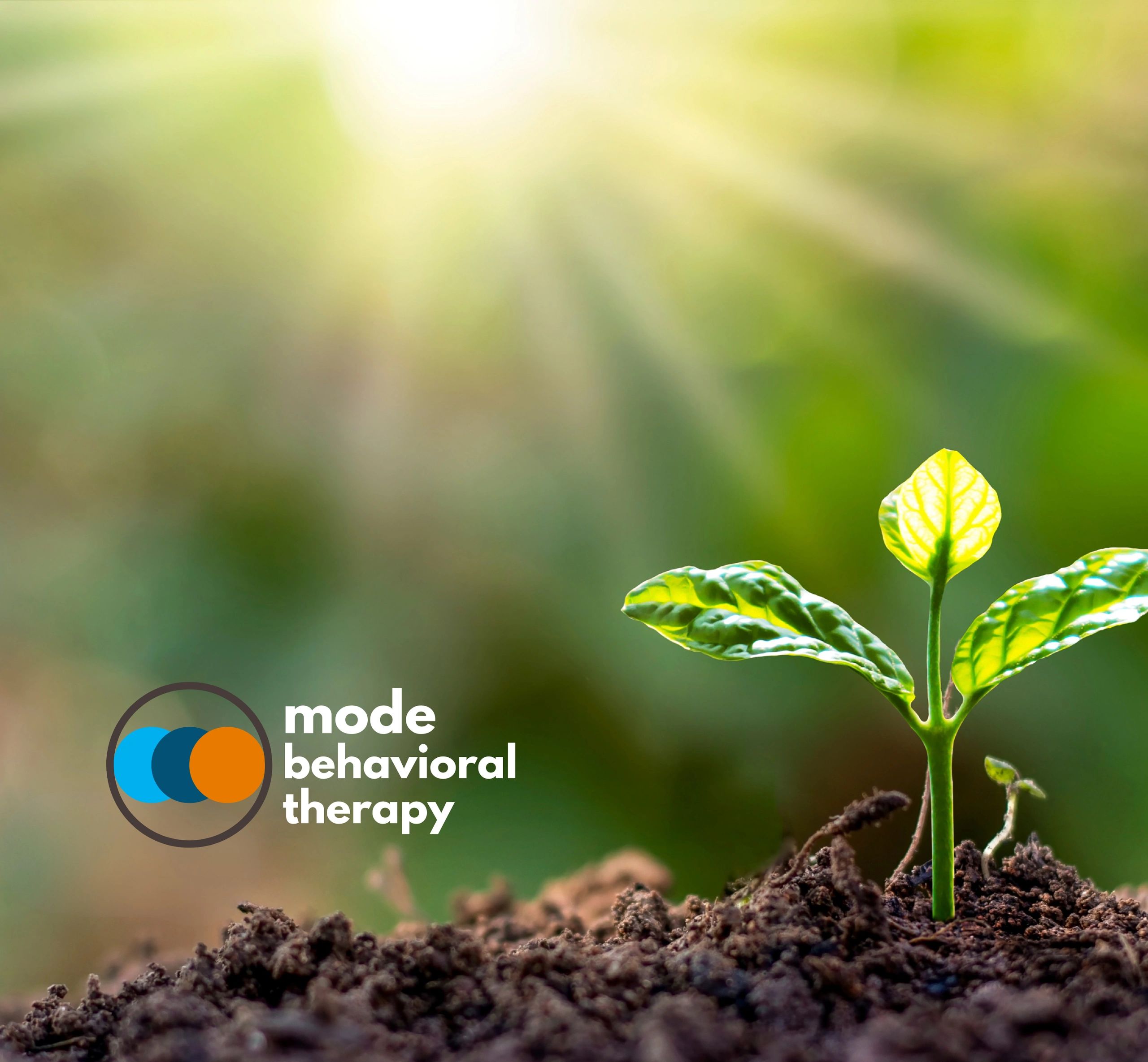 Mode Behavioral Therapy, LLC