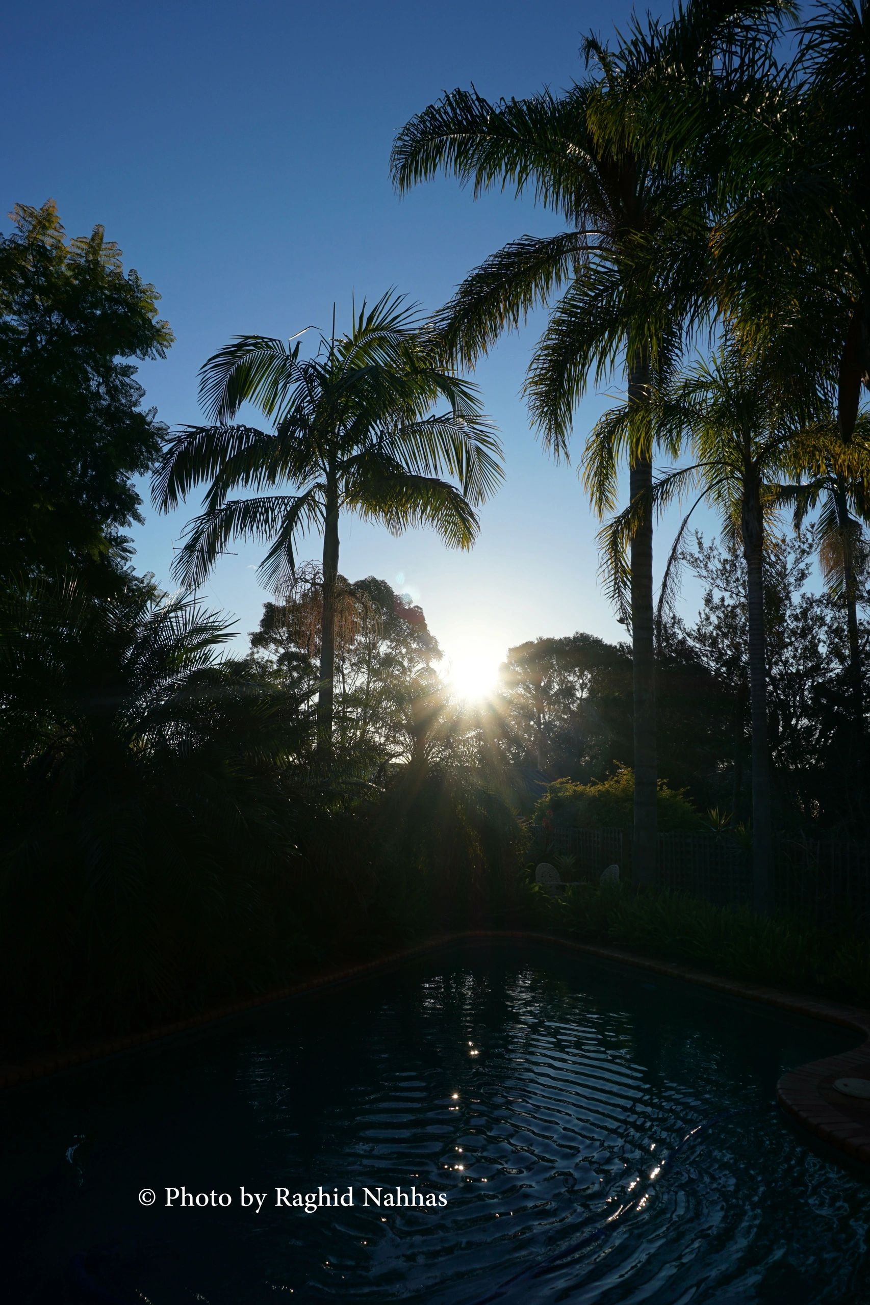 ANOTHER DAWN