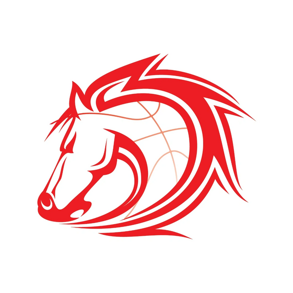 Bronco Hoops - Basketball Camps, Basketball