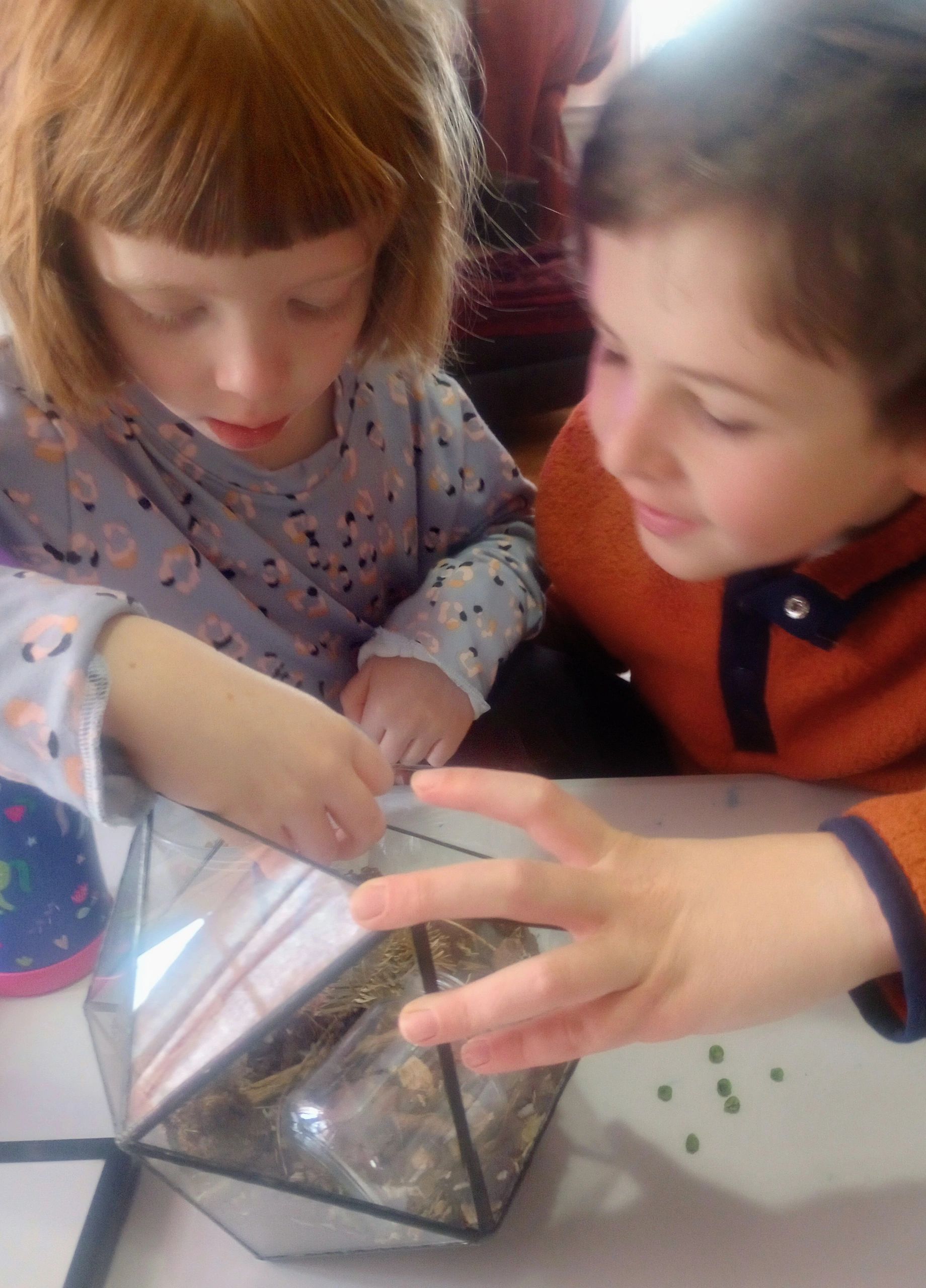 Empower Your Child with Project-Based Learning at Expedition Learning ...