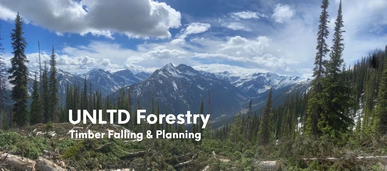 Unltd Forestry - Danger Tree Assessing, Tree Falling, FireSmart ...