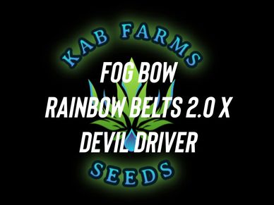 NEW STRAIN DESCRIPTIONS