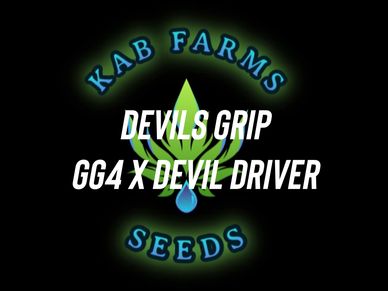 NEW STRAIN DESCRIPTIONS