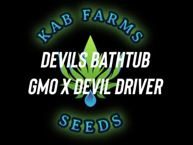 NEW STRAIN DESCRIPTIONS