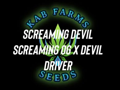 NEW STRAIN DESCRIPTIONS