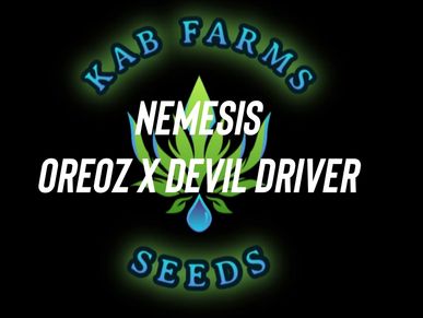 NEW STRAIN DESCRIPTIONS