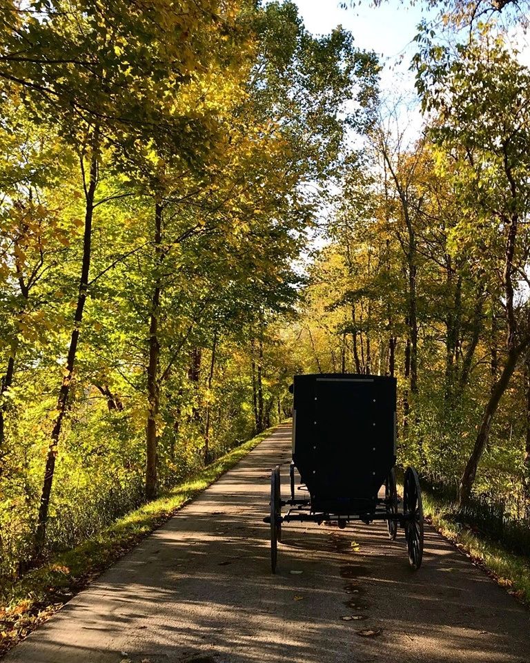 Rail Trail Naturalist