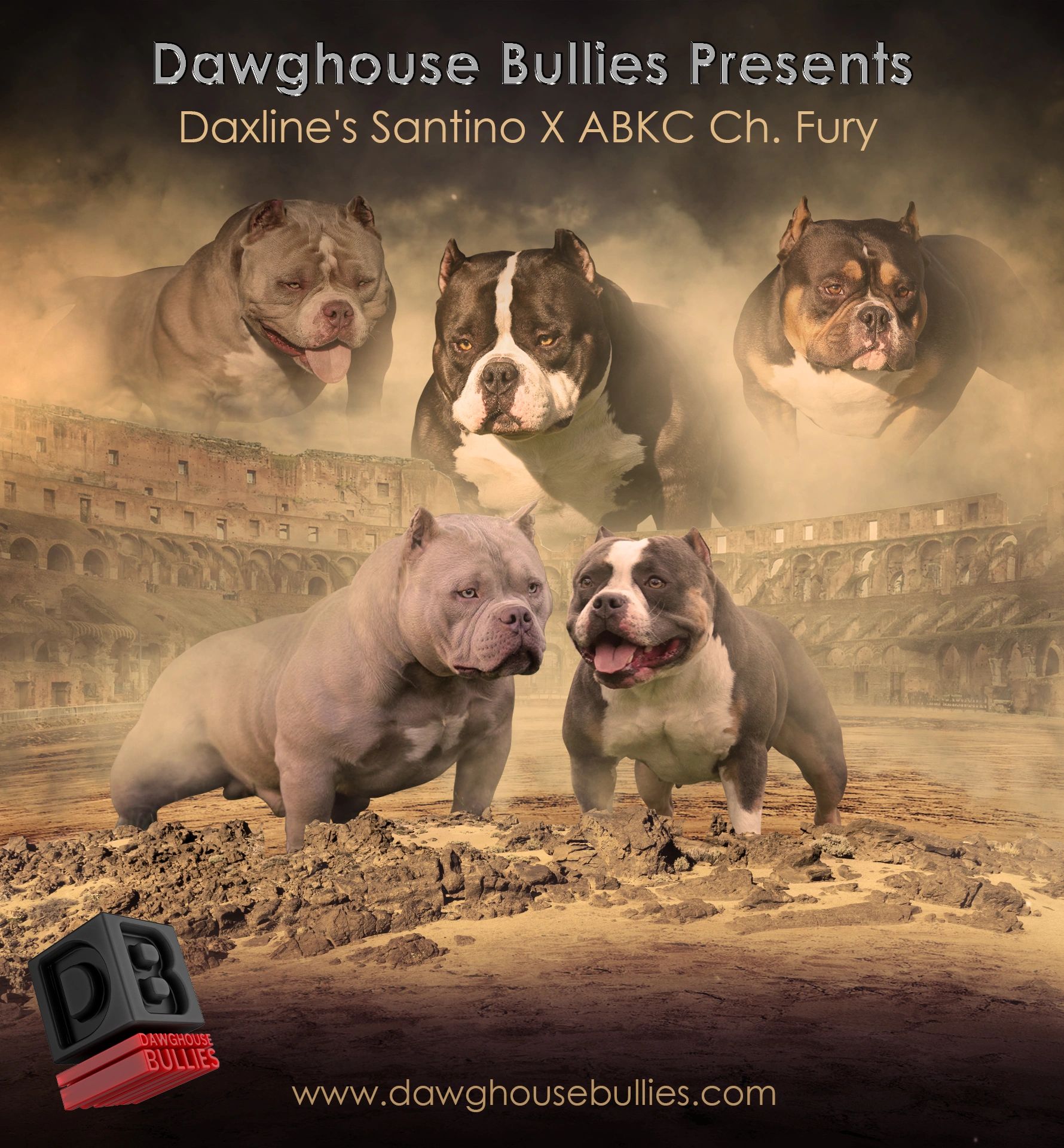 Dawghouse Bullies - Breeder, American Bully Puppies, Buy Puppy ...