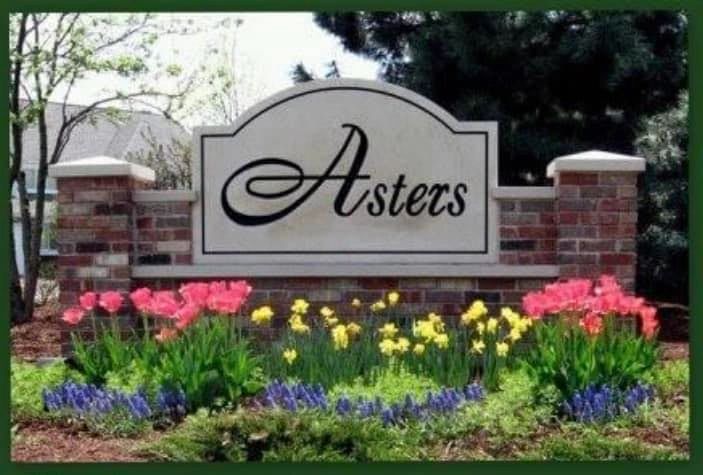 Change the Asters