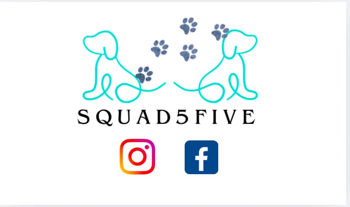Shop for Dog Apparel and Accessories at Squad5five