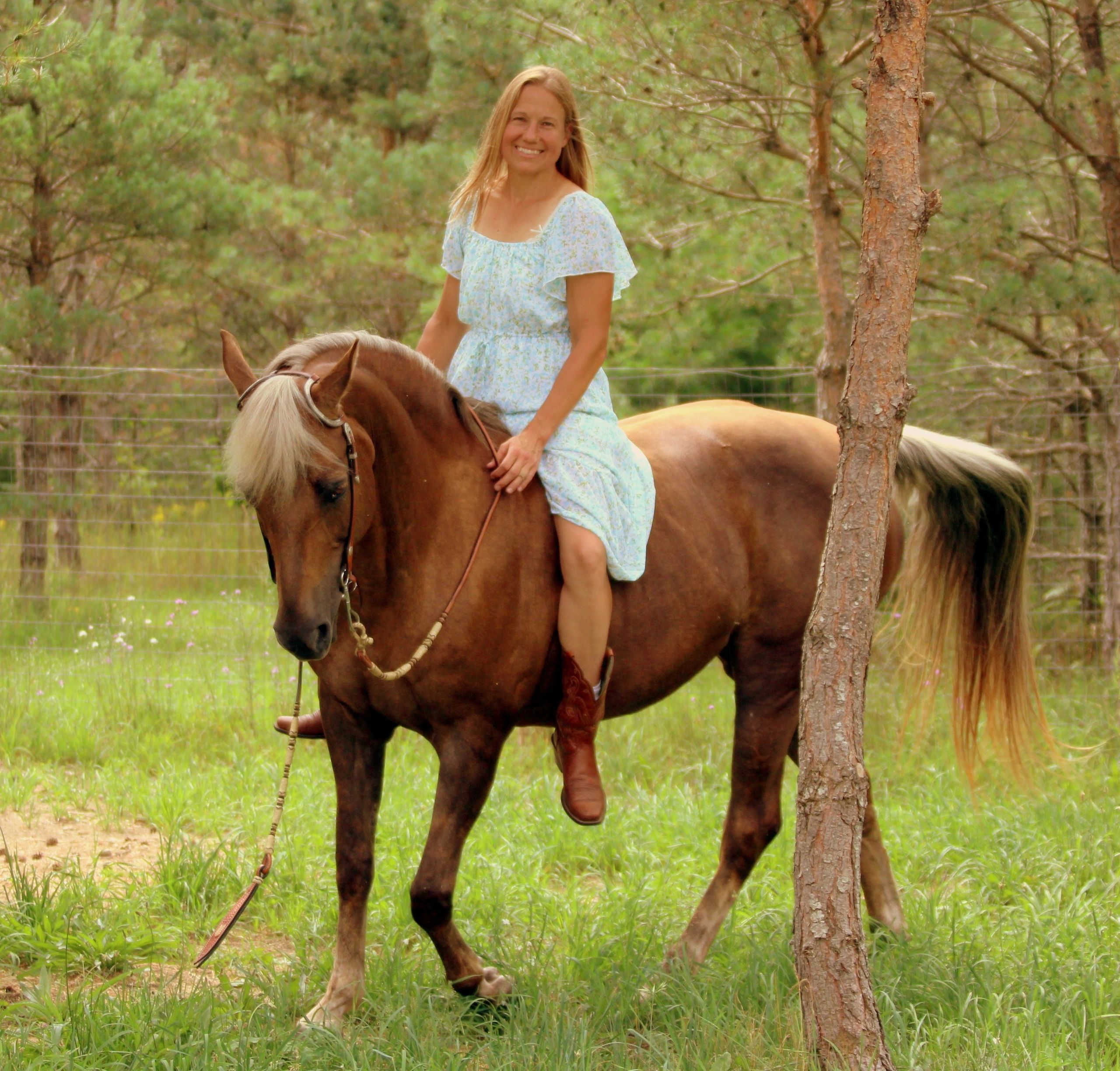Our horses | Beyond Equine, LLC. at McNeil Morgan Ranch