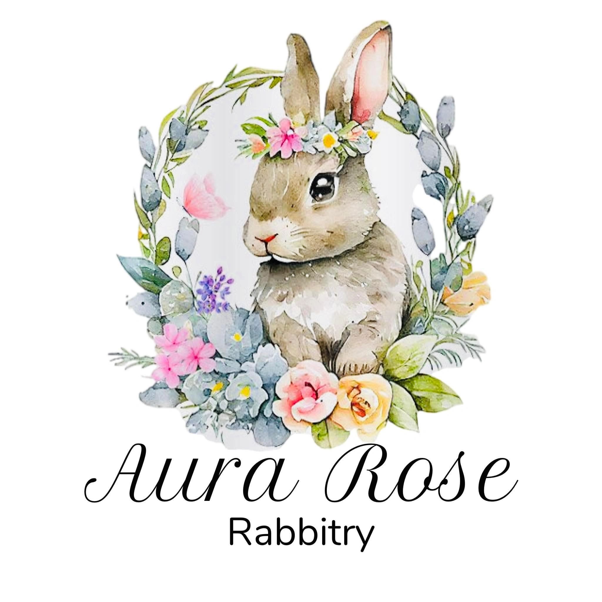 Hand raised bunnies for sale In Rhode Island. Raised by our family with ...