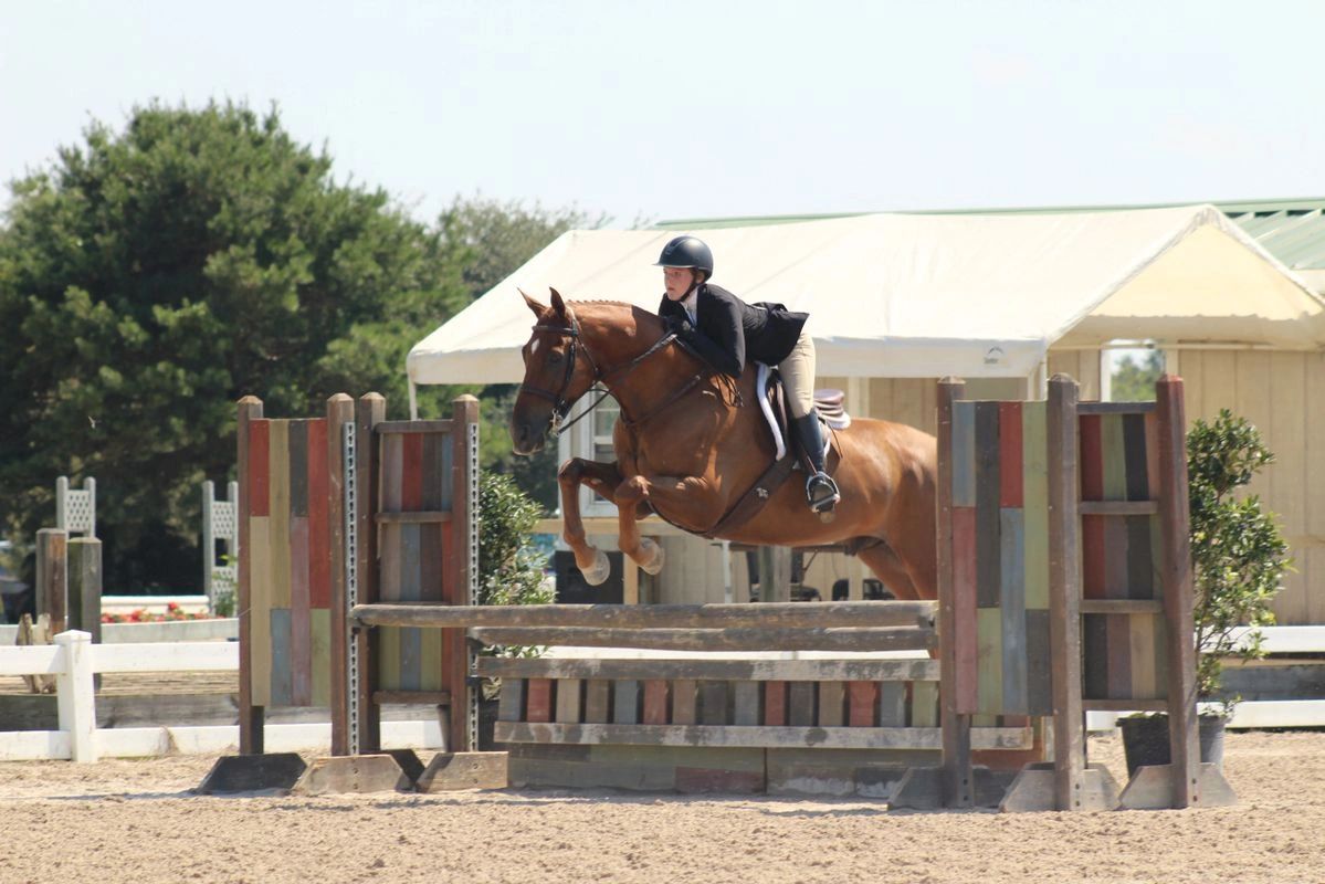 Mississippi Hunter Jumper Association - Home