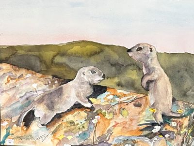 Mohave Ground Squirrel Conservation Council - Home