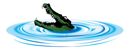 Expert Auto Window Repair Services