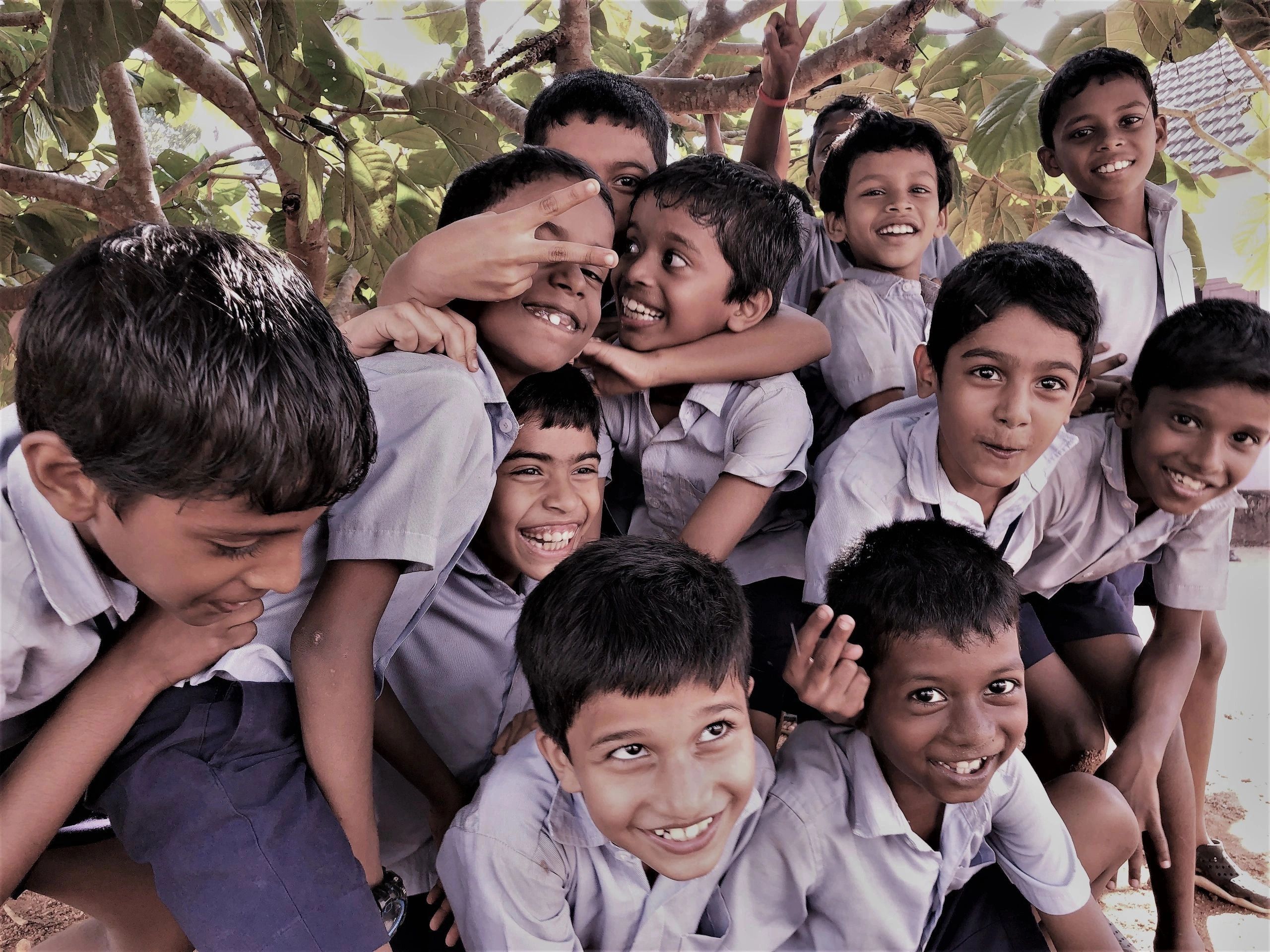 Your Amigos Foundation