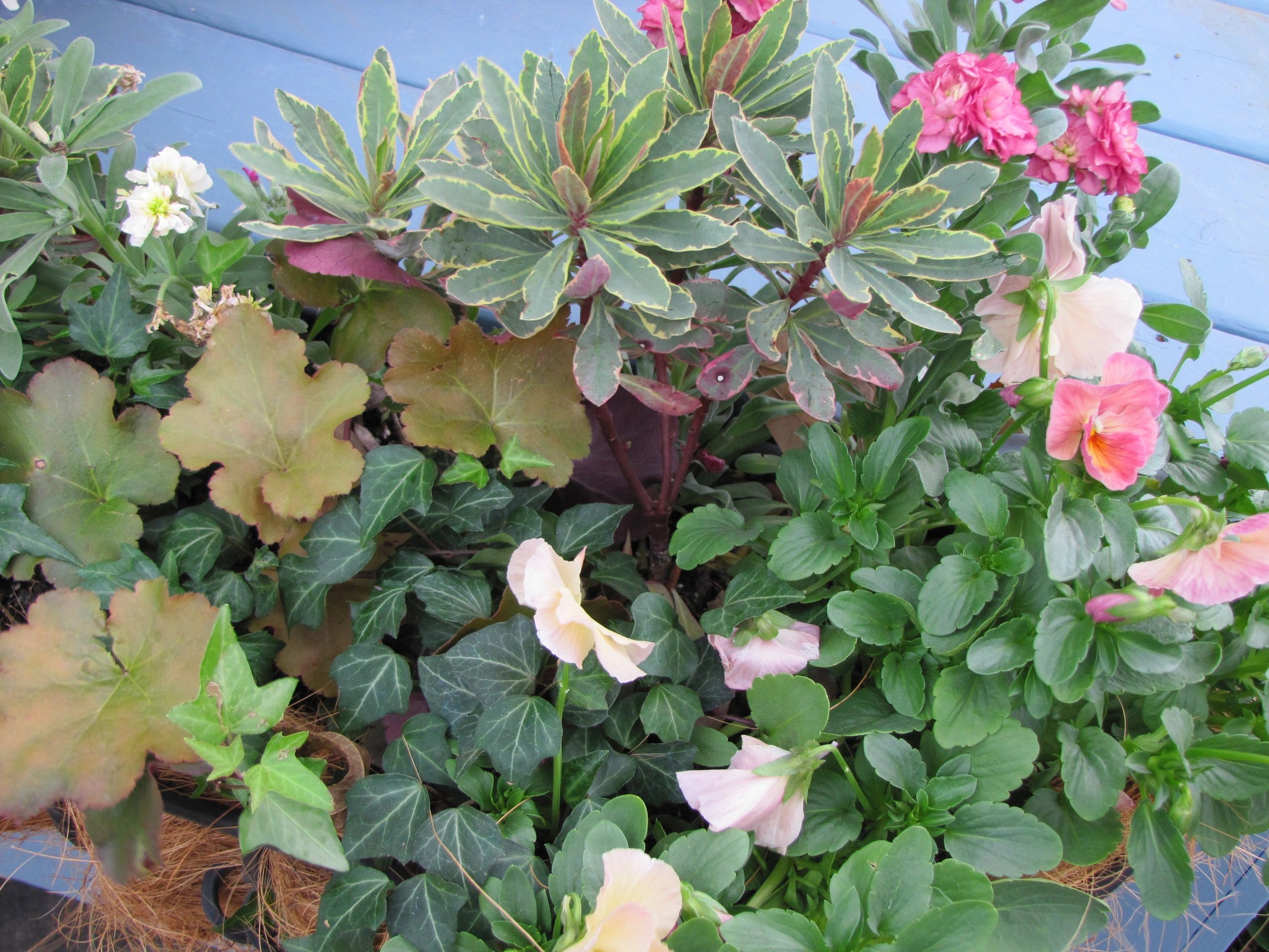 Garden Club