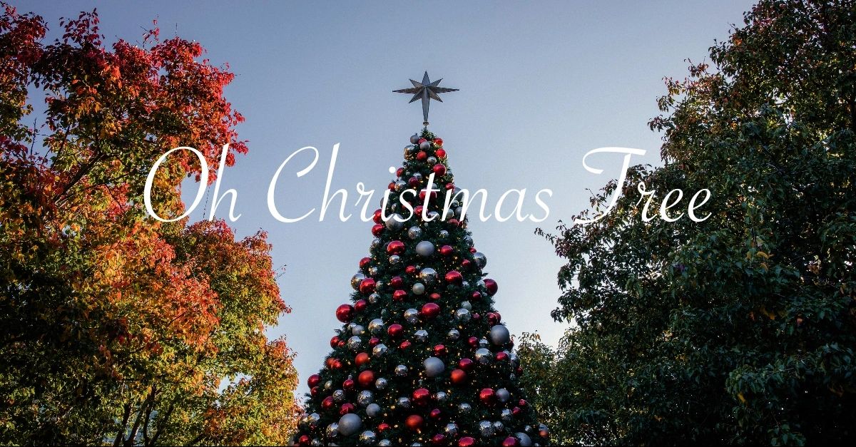 O Christmas Tree Lyrics