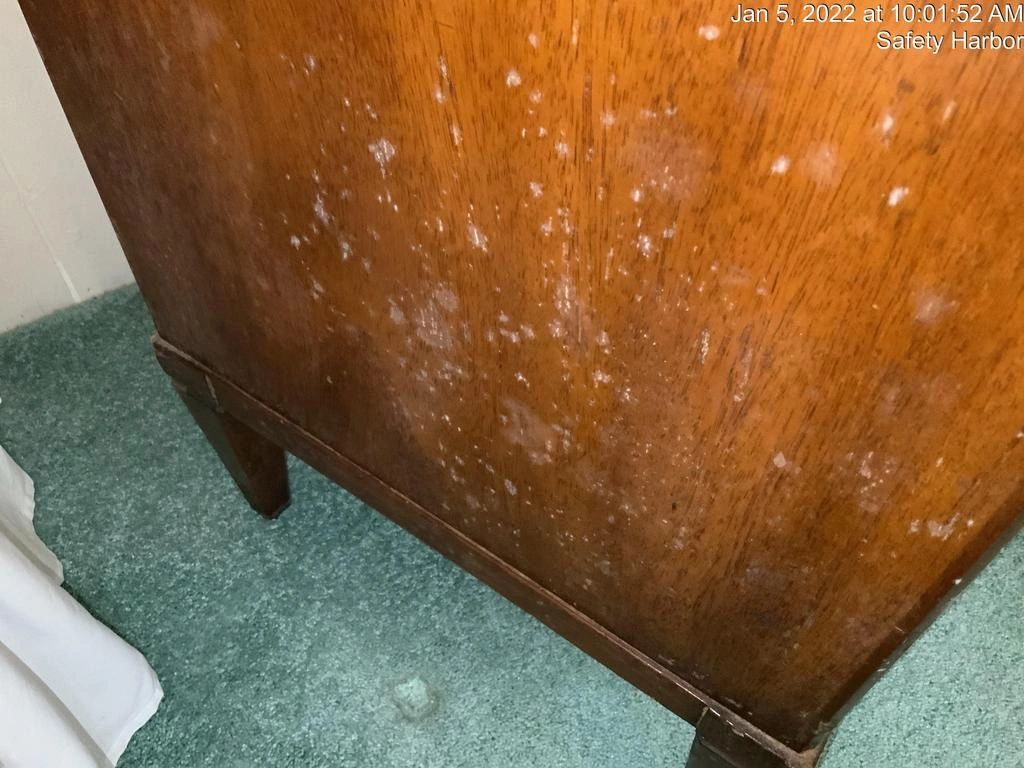 The Dangers of Indoor High Humidity