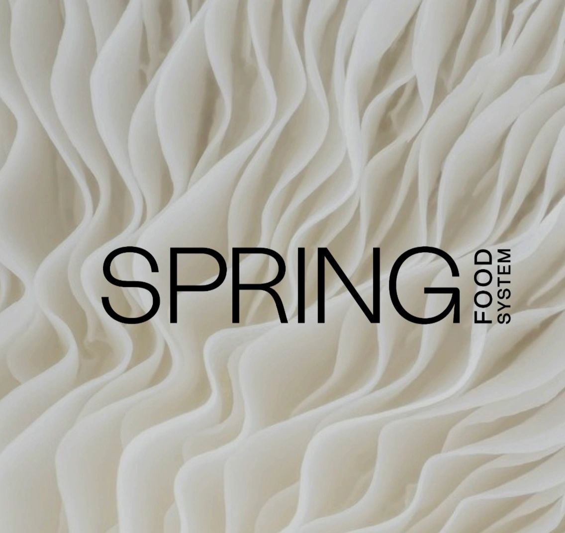 springfoodsystem.com