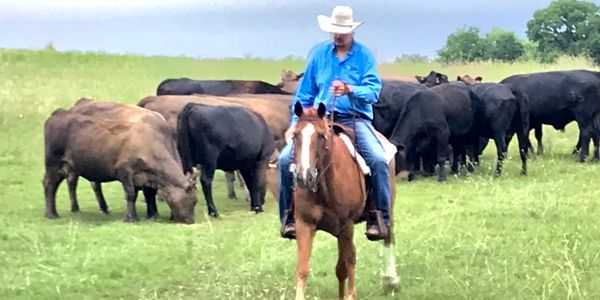 Home, McKinney, TX | Cornerstone Farms