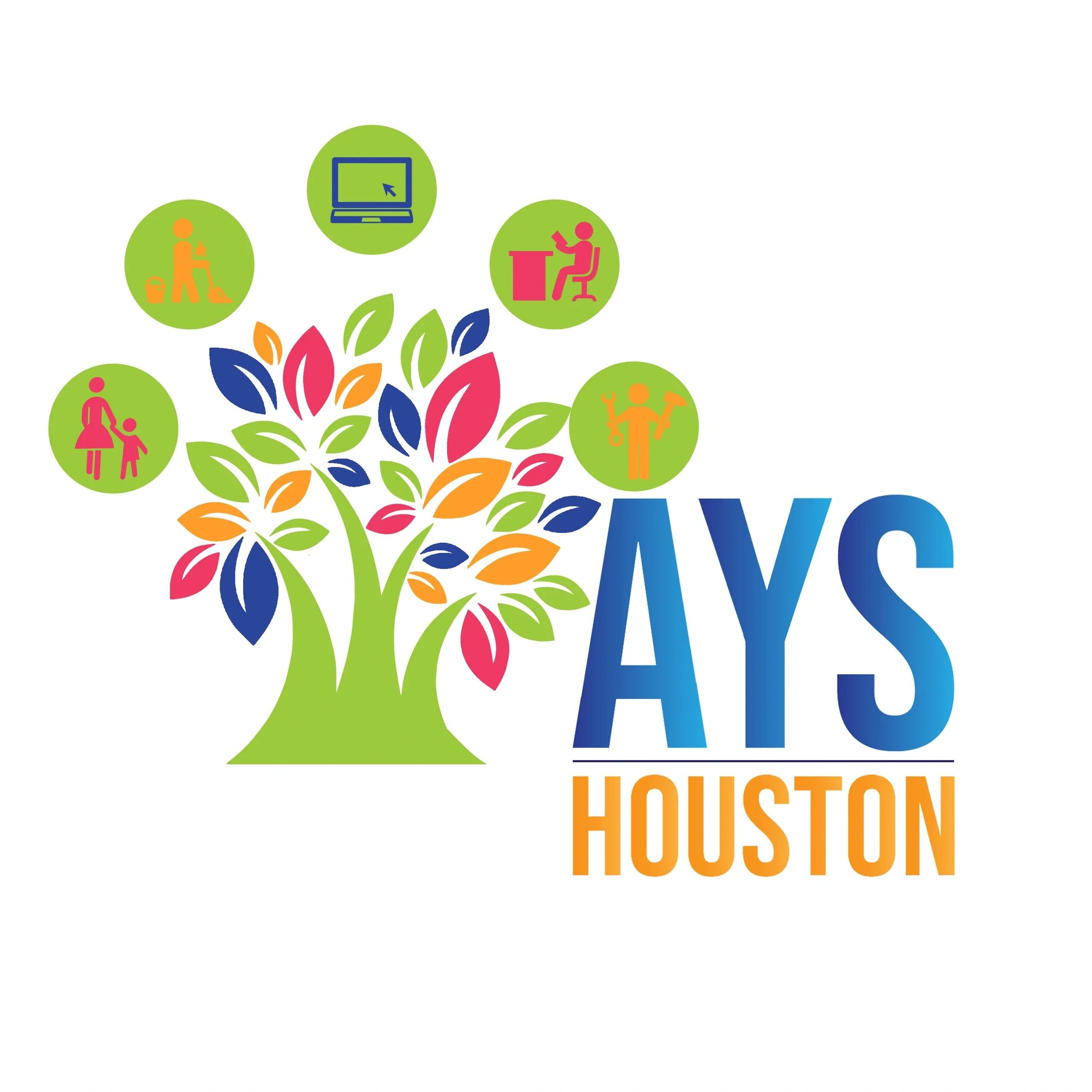 AYS Website