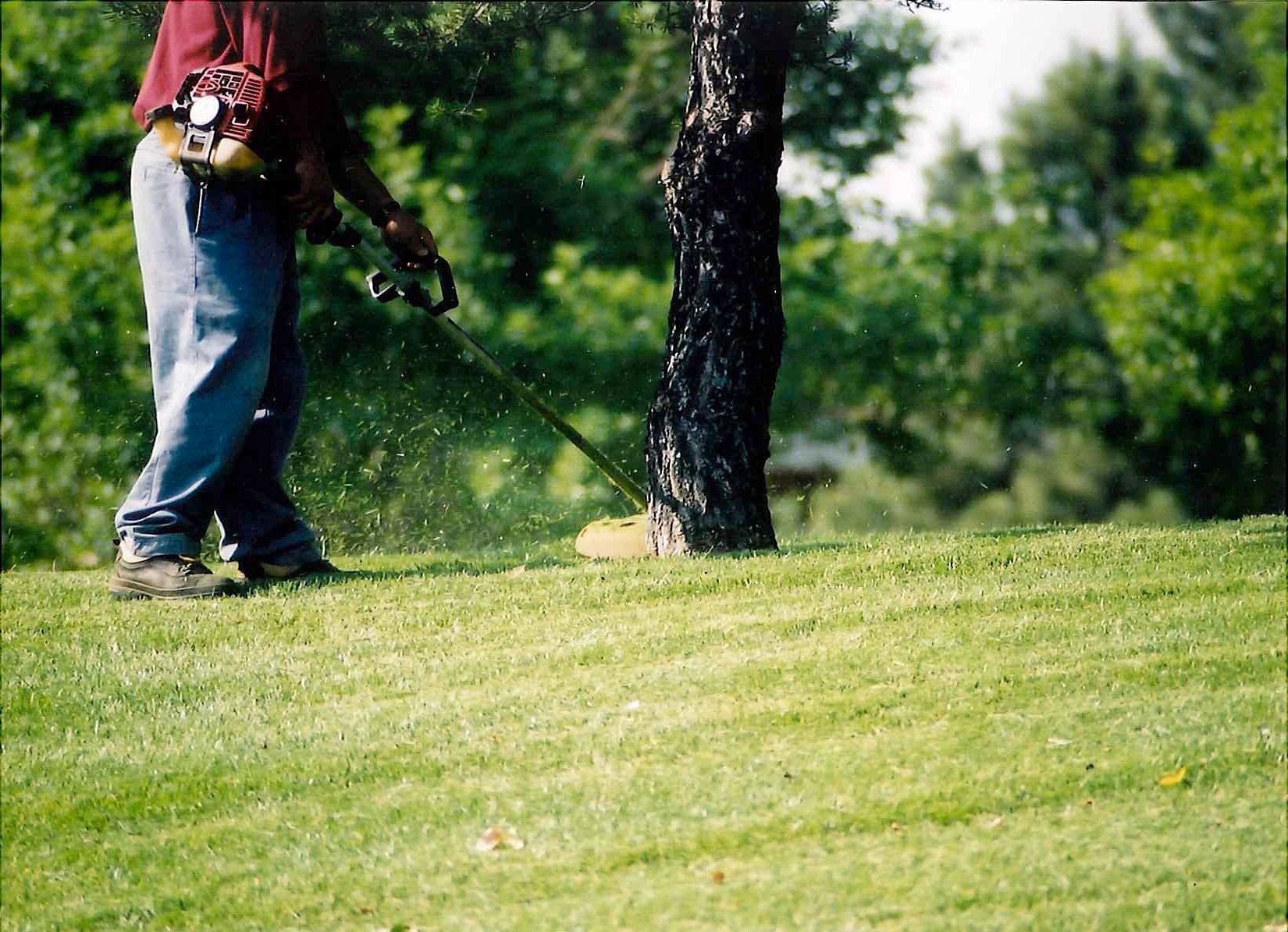 Inverness Landscaping - Commercial Lawn care services, landscape ...