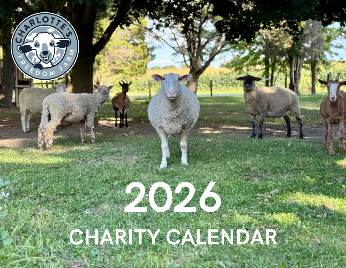 2026 Charity Calendar