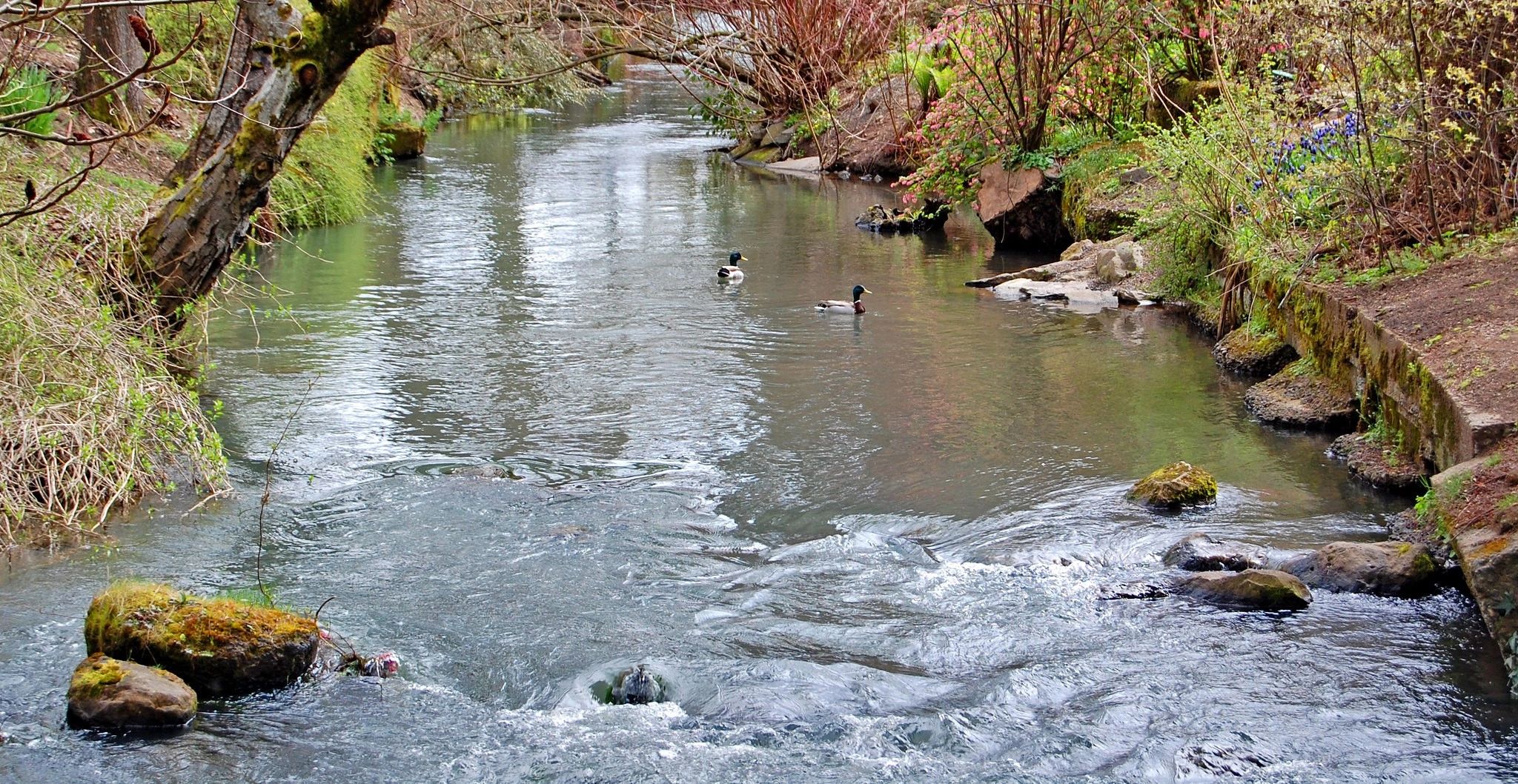 Turner Retirement Homes - Retirement Home - Turner, Oregon