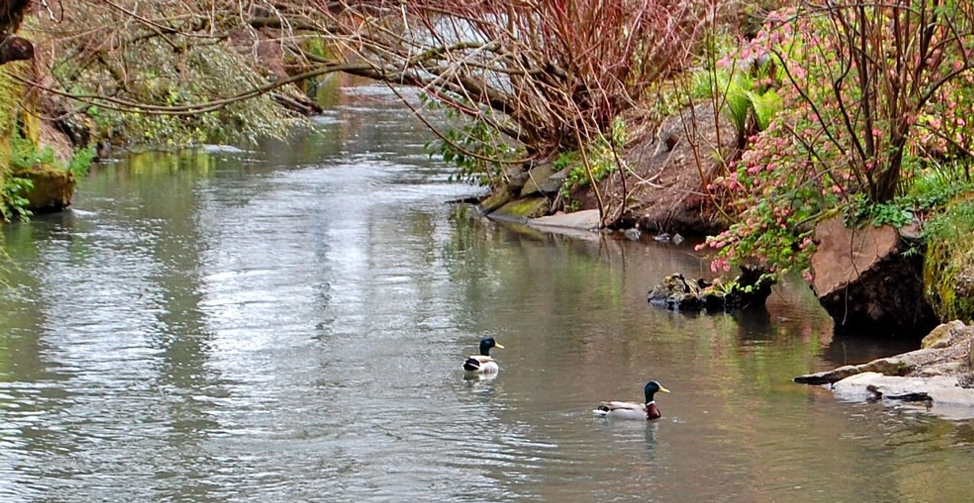 Turner Retirement Homes - Retirement Home - Turner, Oregon